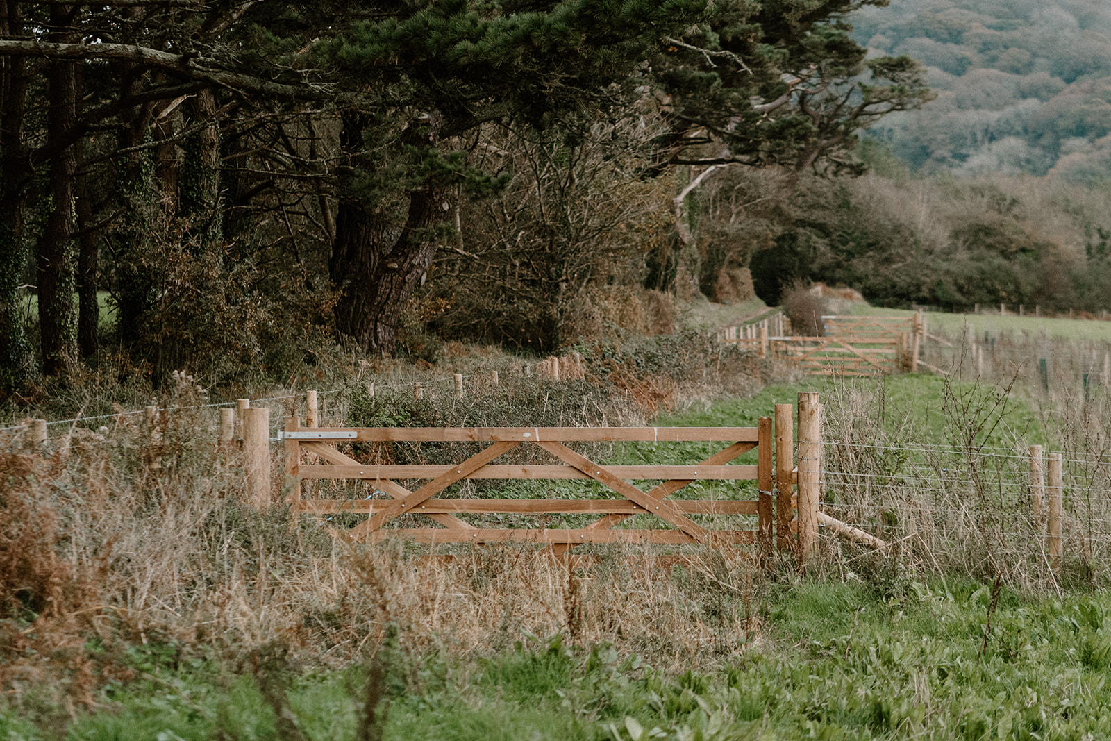 Orchard Farm Mothecombe | Regenerative Farming & Wildlife Haven
